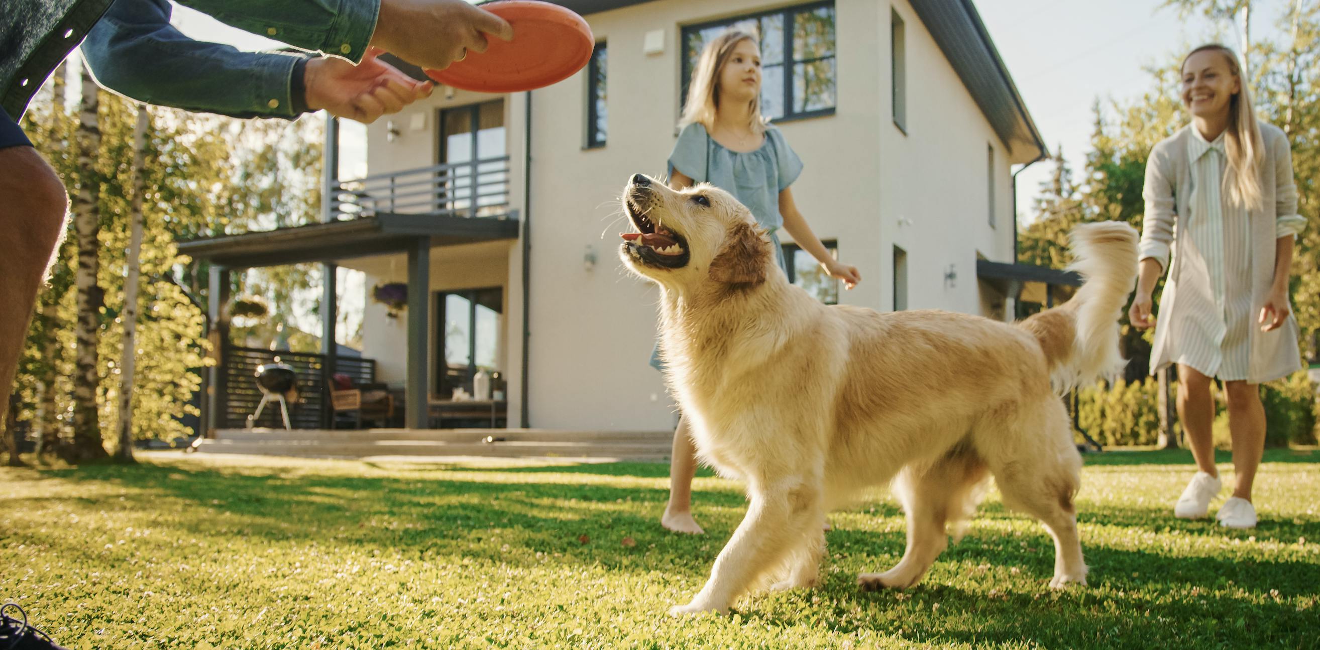 5 Tips for a Dog-Friendly Yard